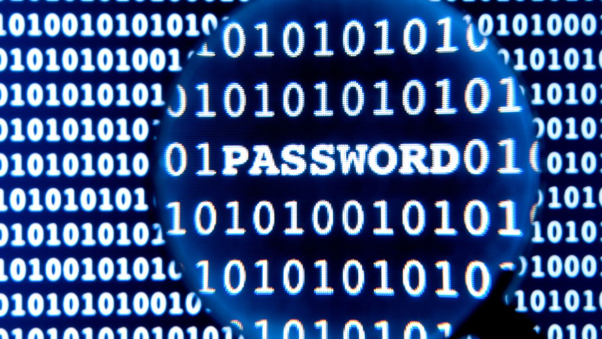 NordPass vs. 1Password: Which password manager fits your company best?