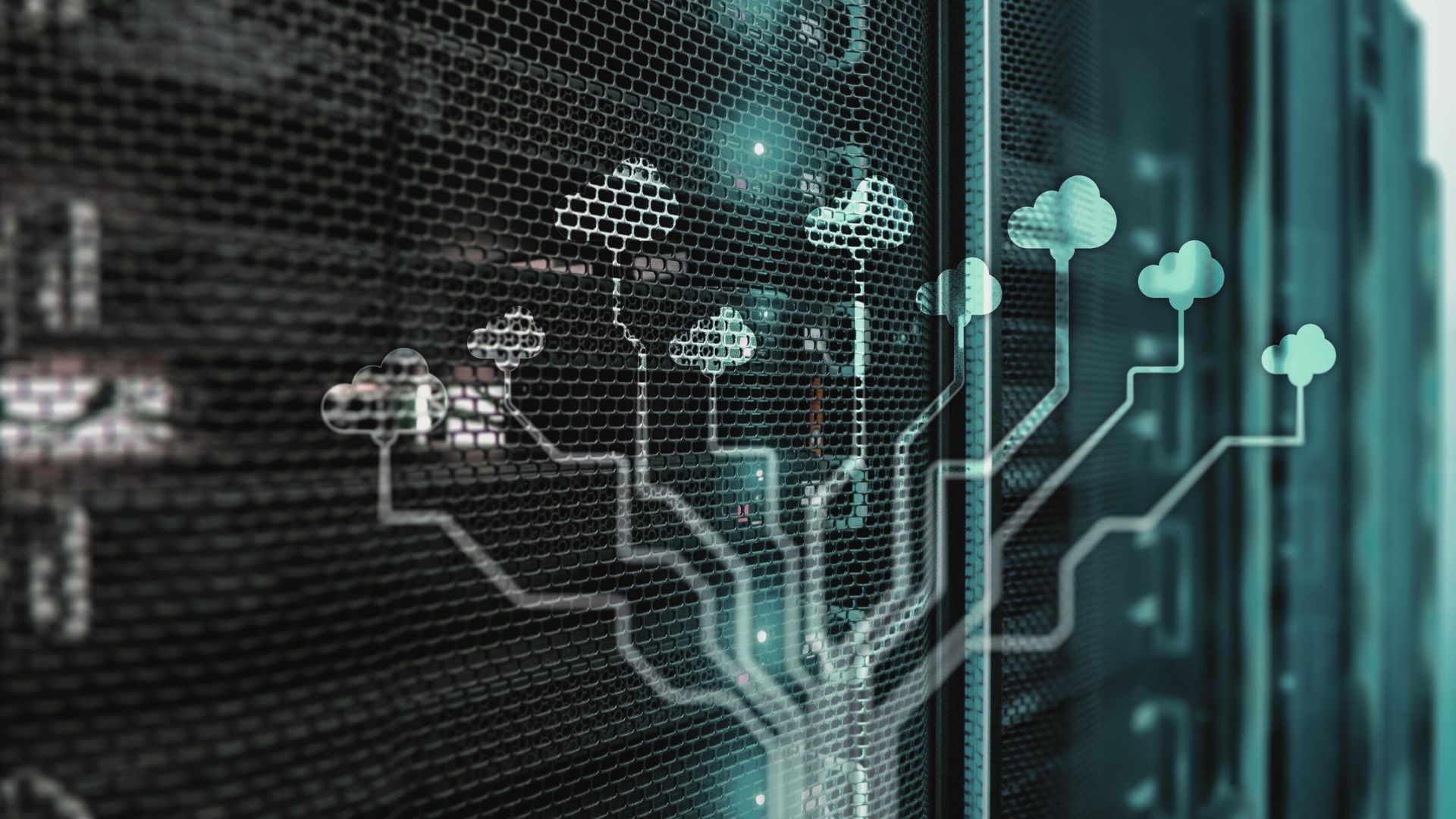 Box Competitors & Alternatives