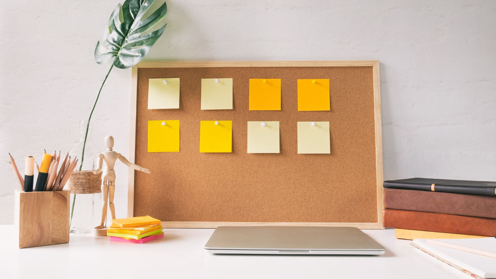 Notion vs Monday: Comparativa de plataformas para la gestión de ...